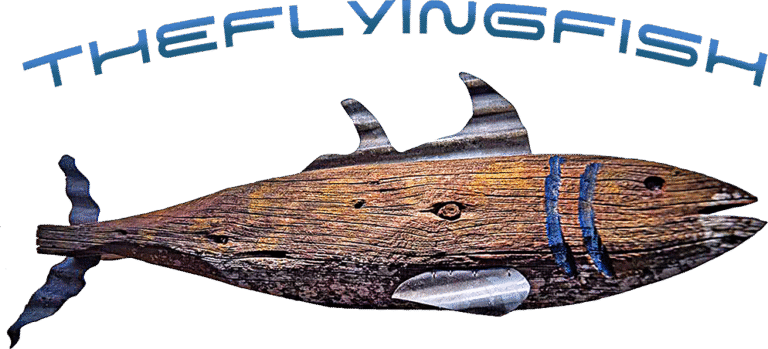 Log In - The Flying Fish